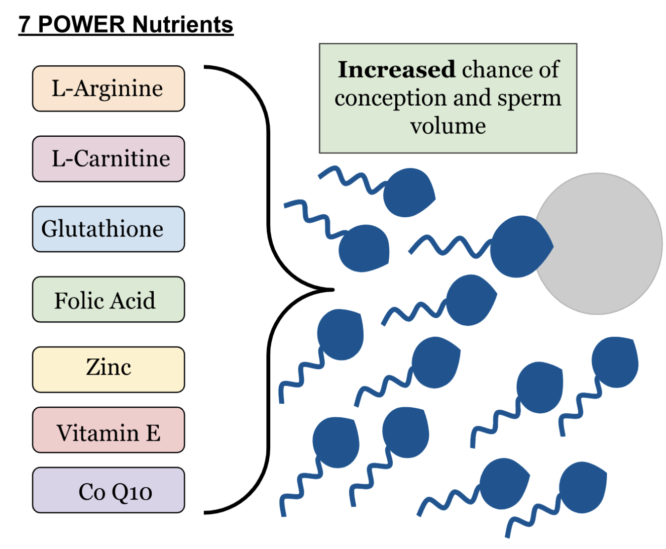 Rejufert Capsules
